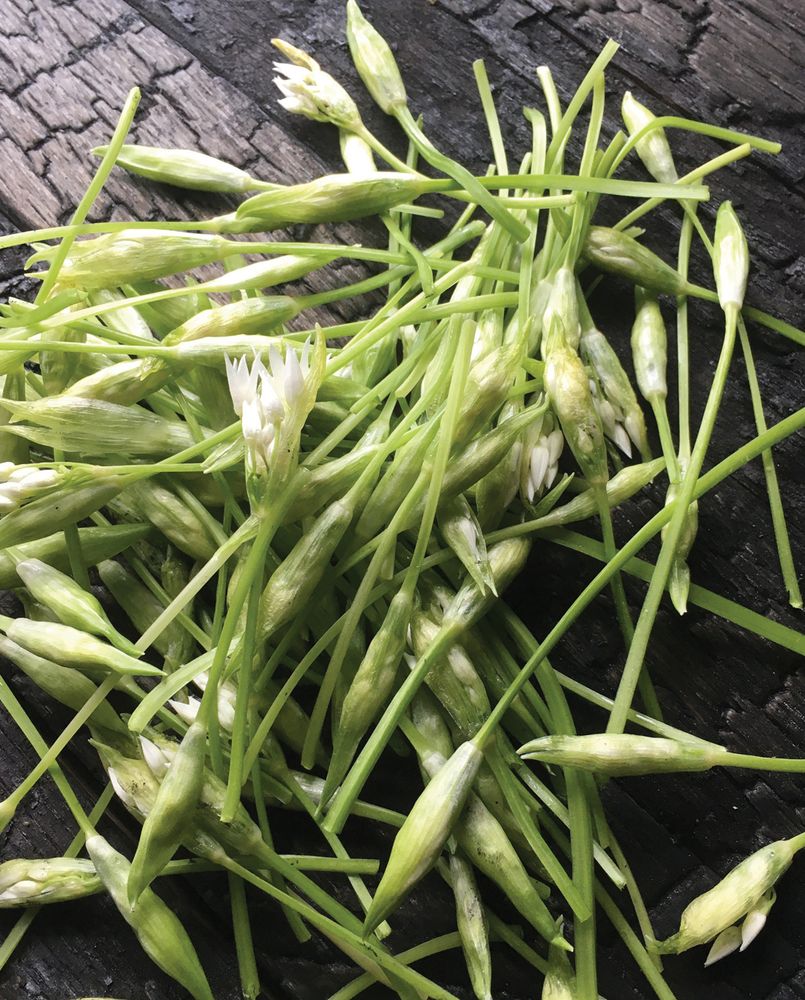 Pickled Ramson Buds from A Taste of the Highlands by Ghillie Basan