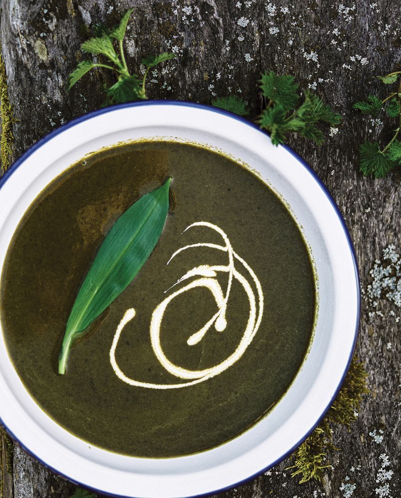 Nettle and Ramson Soup from A Taste of the Highlands by Ghillie Basan