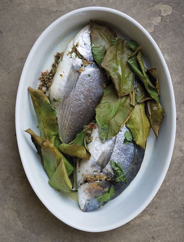 Fish Baked with Walnuts from Tasting Georgia: A Food and Wine Journey ...