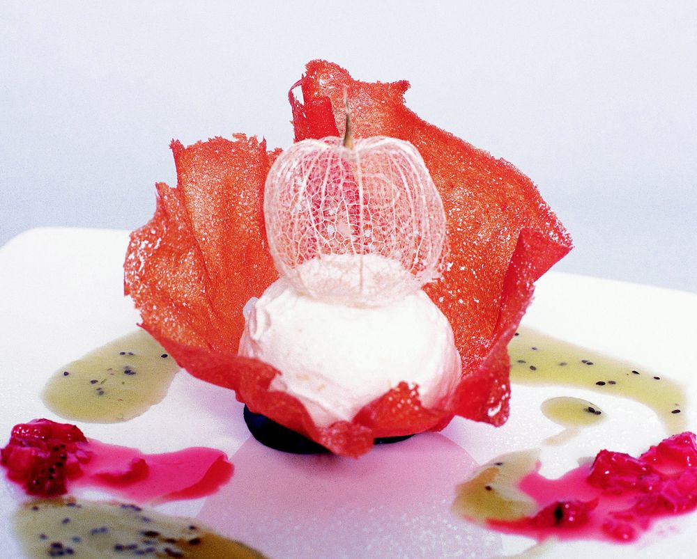 White Chocolate Neapolitan Bavarian from The Advanced Professional ...