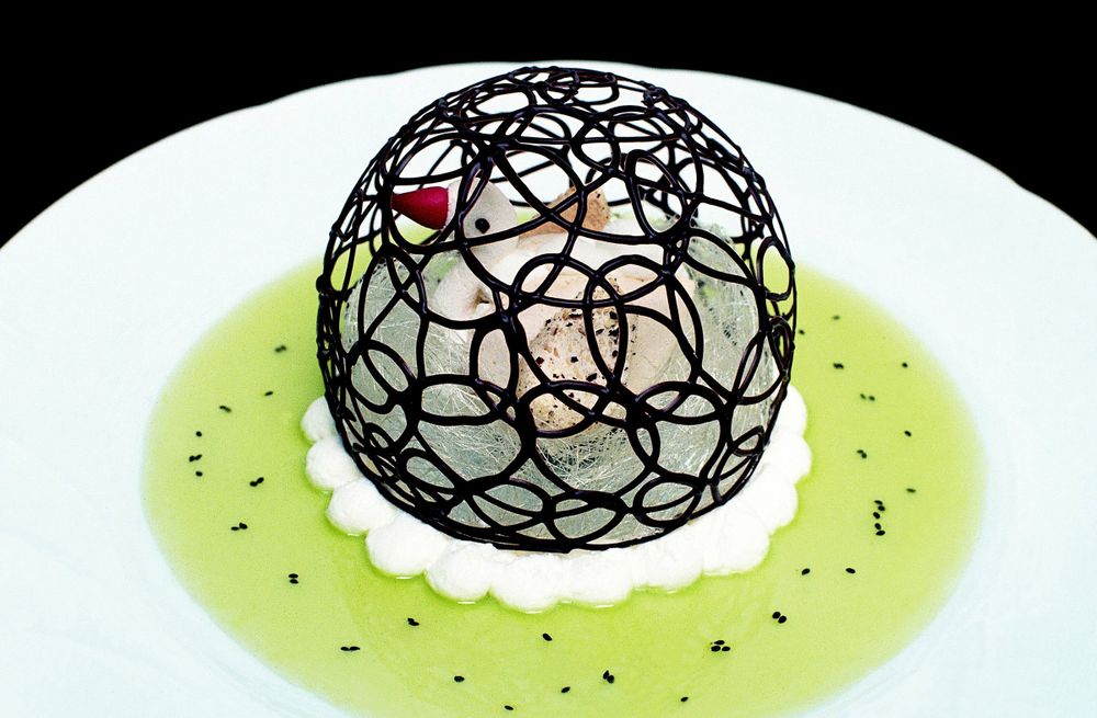 Snowbird in a Chocolate Cage from The Advanced Professional Pastry Chef ...