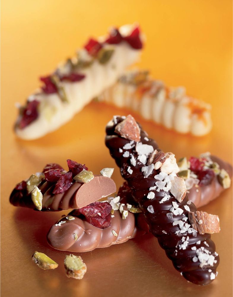 Spicy Nut Sticks from The Art of the Chocolatier by Ewald Notter