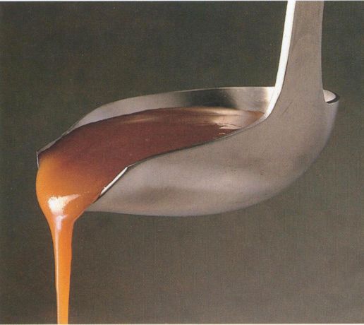 Basic Brown Sauce from The Cook's Companion: A step-by-step guide to ...