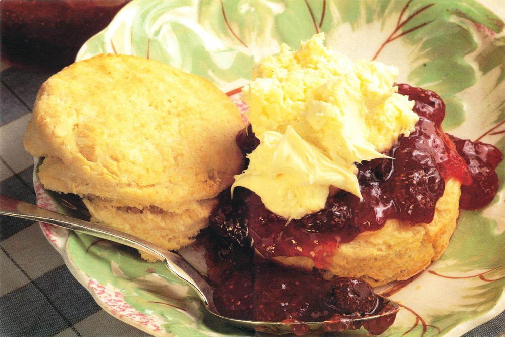 Scones from Two Fat Ladies: Gastronomic Adventures (with Motorbike and ...