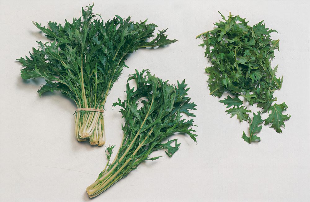 Japanese Greens: mizuna, mibuna, komatsuna from Vegetables from ...
