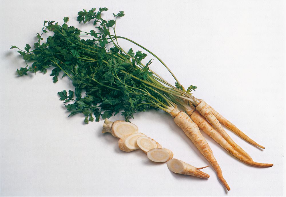Parsley Root, Root Parsley from Vegetables from Amaranth to Zucchini by ...