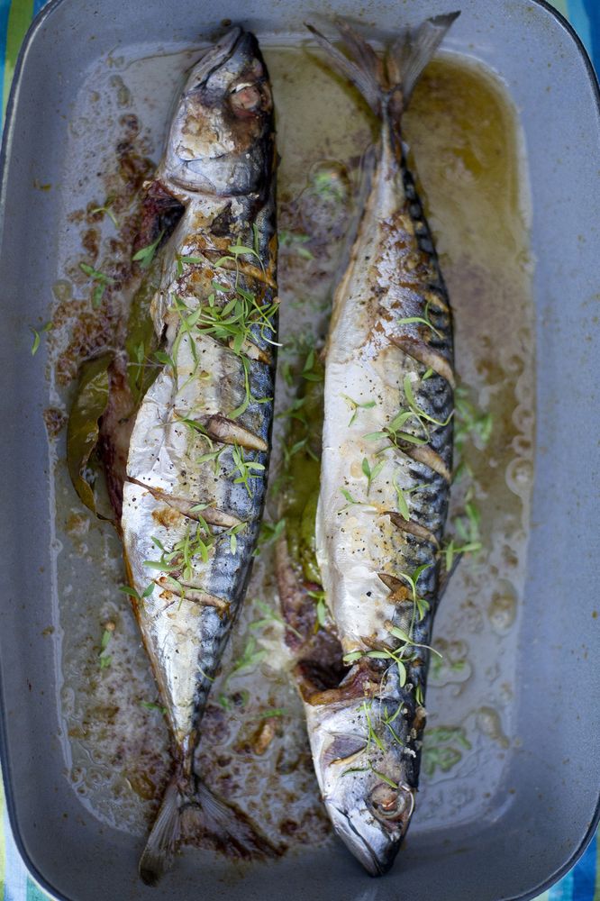 Baked mackerel with coriander micros from A Year at Otter Farm by Mark ...